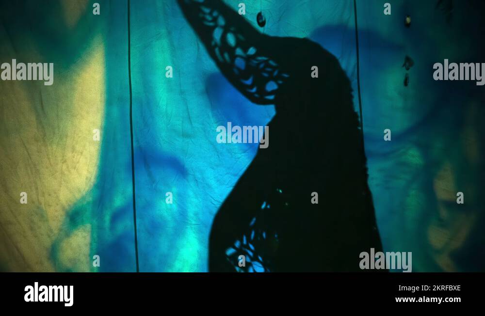 Death dance Stock Videos & Footage - HD and 4K Video Clips - Alamy