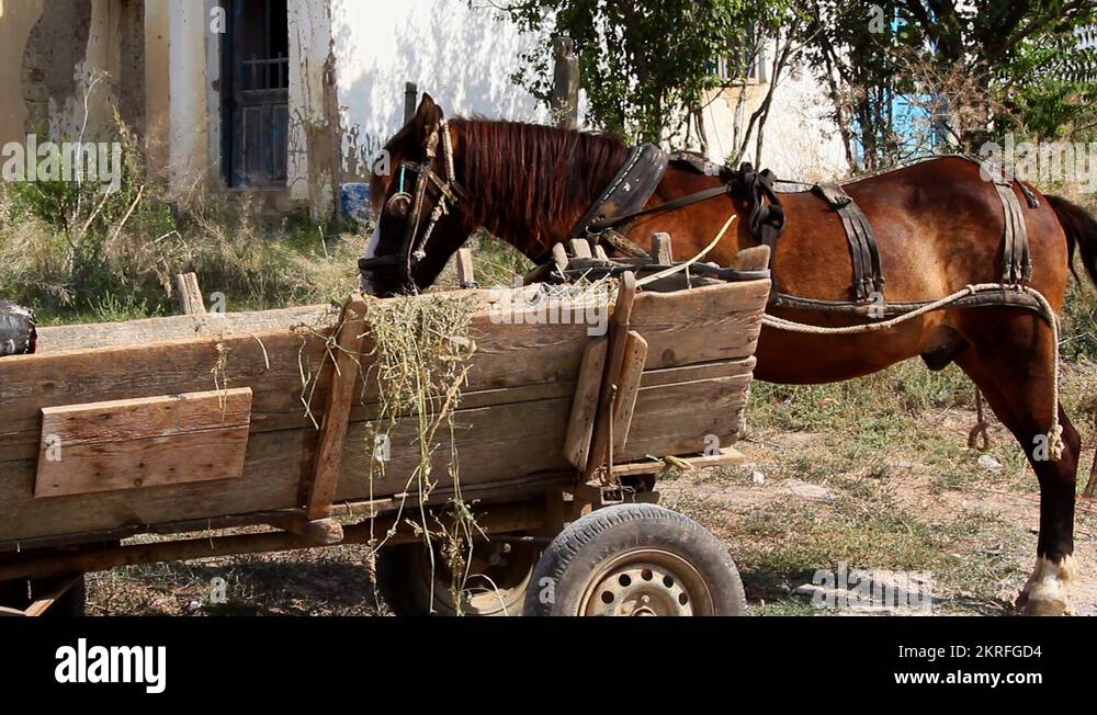 Poor transport Stock Videos & Footage - HD and 4K Video Clips - Alamy