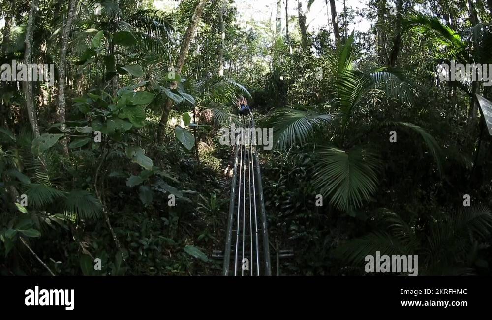 Mountain coaster Stock Videos & Footage - HD and 4K Video Clips - Alamy