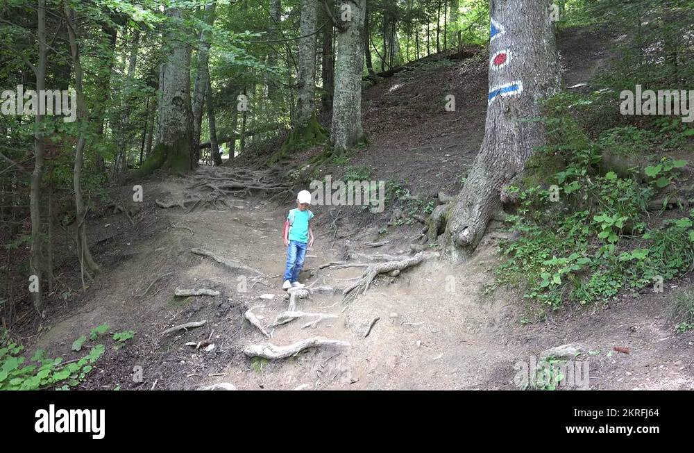 Child Pointing to Trail Signs in Mountains, Little Girl Forest Trip ...
