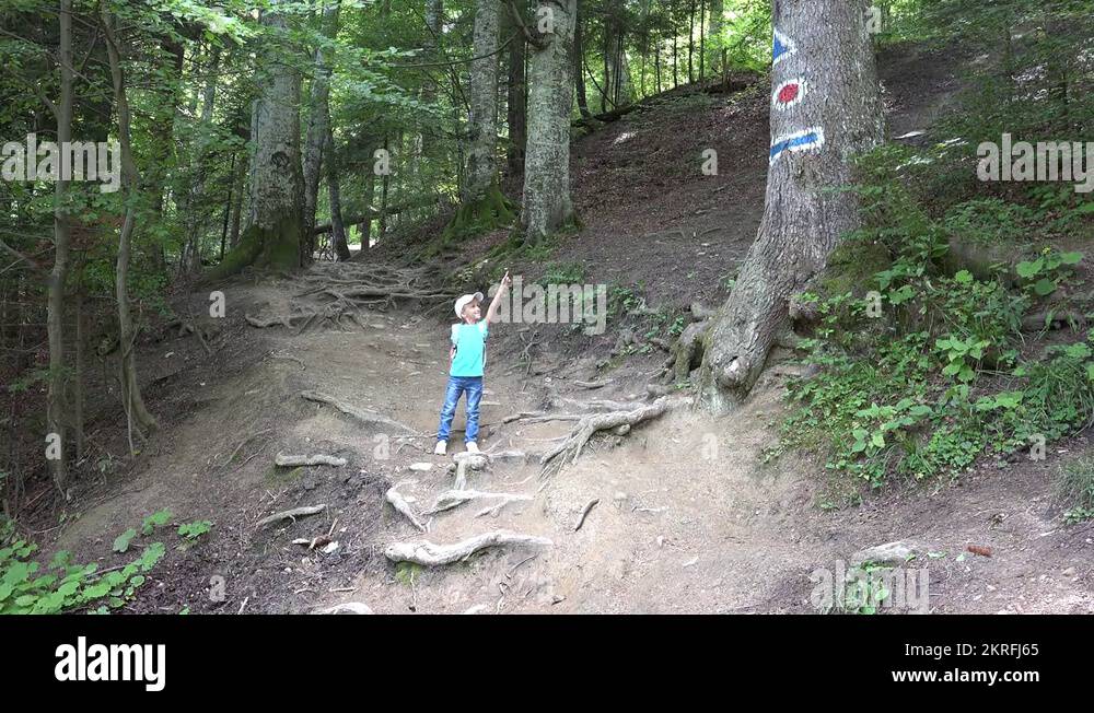 Child Pointing to Trail Signs in Mountains, Little Girl Forest Trip ...