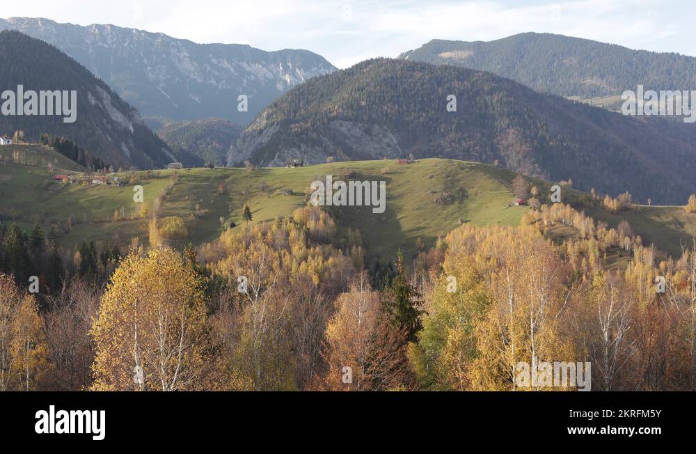 Colorful wood scenery Stock Videos & Footage - HD and 4K Video Clips ...