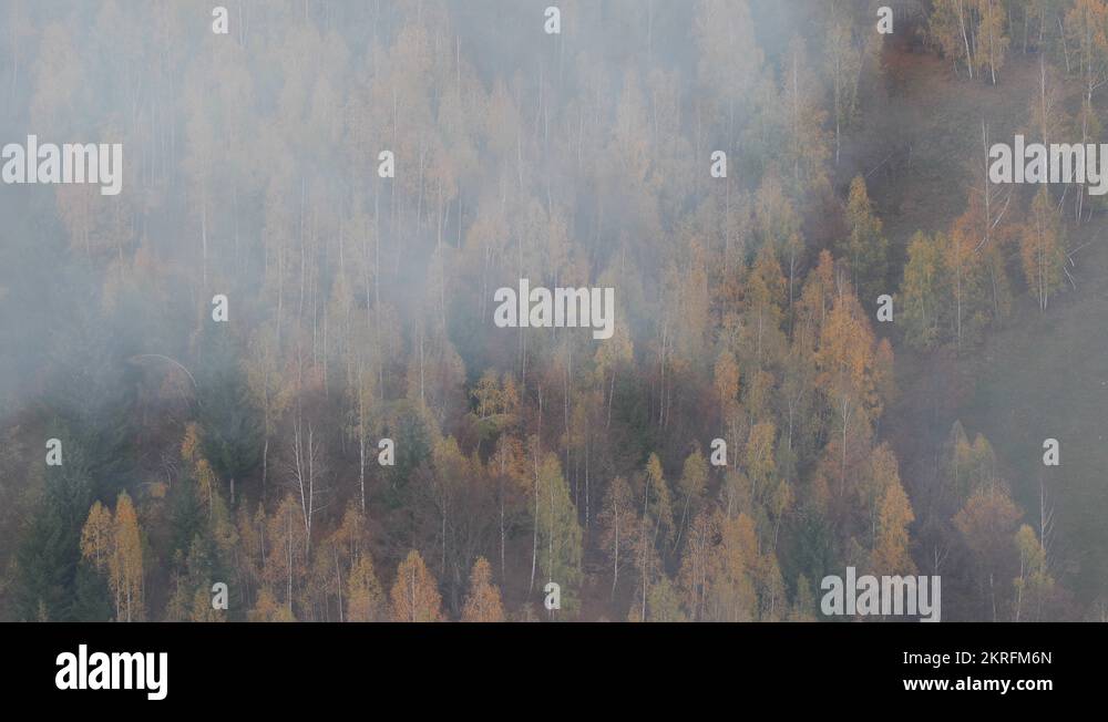 National environment day Stock Videos & Footage - HD and 4K Video Clips ...