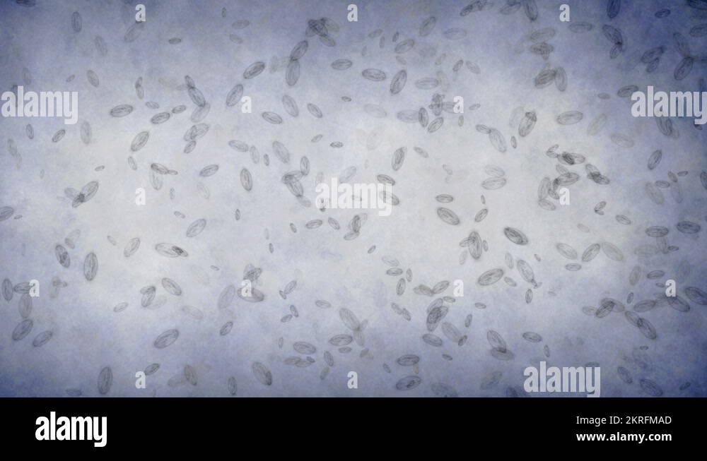 Microscope bacteria growth Stock Videos & Footage - HD and 4K Video ...