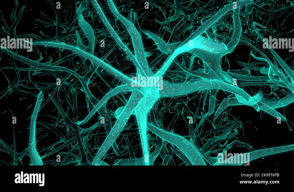 Nerve cells and synapse Stock Videos & Footage - HD and 4K Video Clips ...