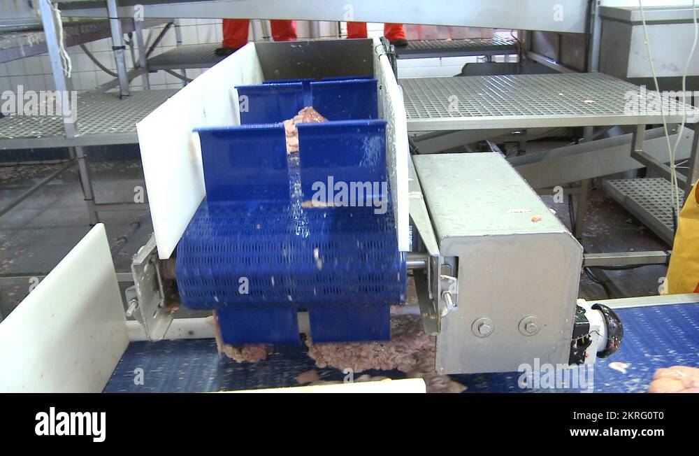 Iceland fish processing Stock Videos & Footage - HD and 4K Video Clips ...