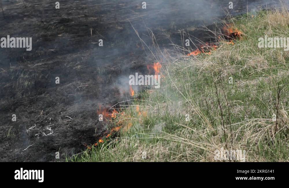 Disaster Fire In Dry Agriculture Field in Drought Season, Hot Summer ...