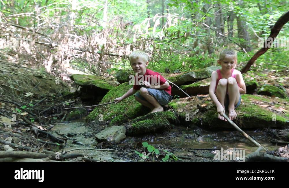 Children playing forest sticks Stock Videos & Footage - HD and 4K Video ...