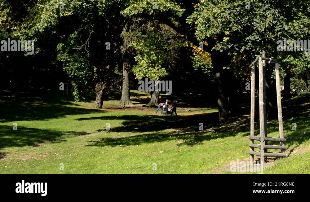 Park parks walk walking grass Stock Videos & Footage - HD and 4K Video ...