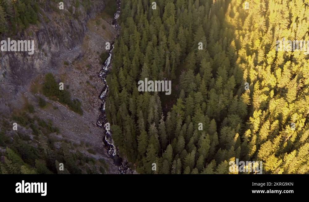 Forest birds eye view Stock Videos & Footage - HD and 4K Video Clips ...