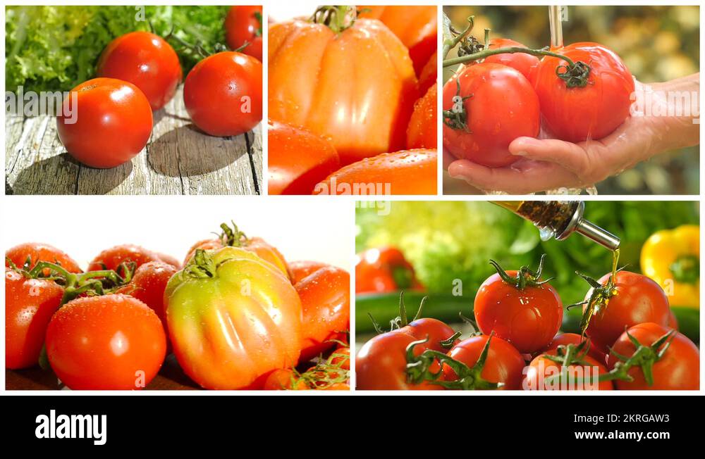 Tomatoes collage Stock Videos & Footage - HD and 4K Video Clips - Alamy