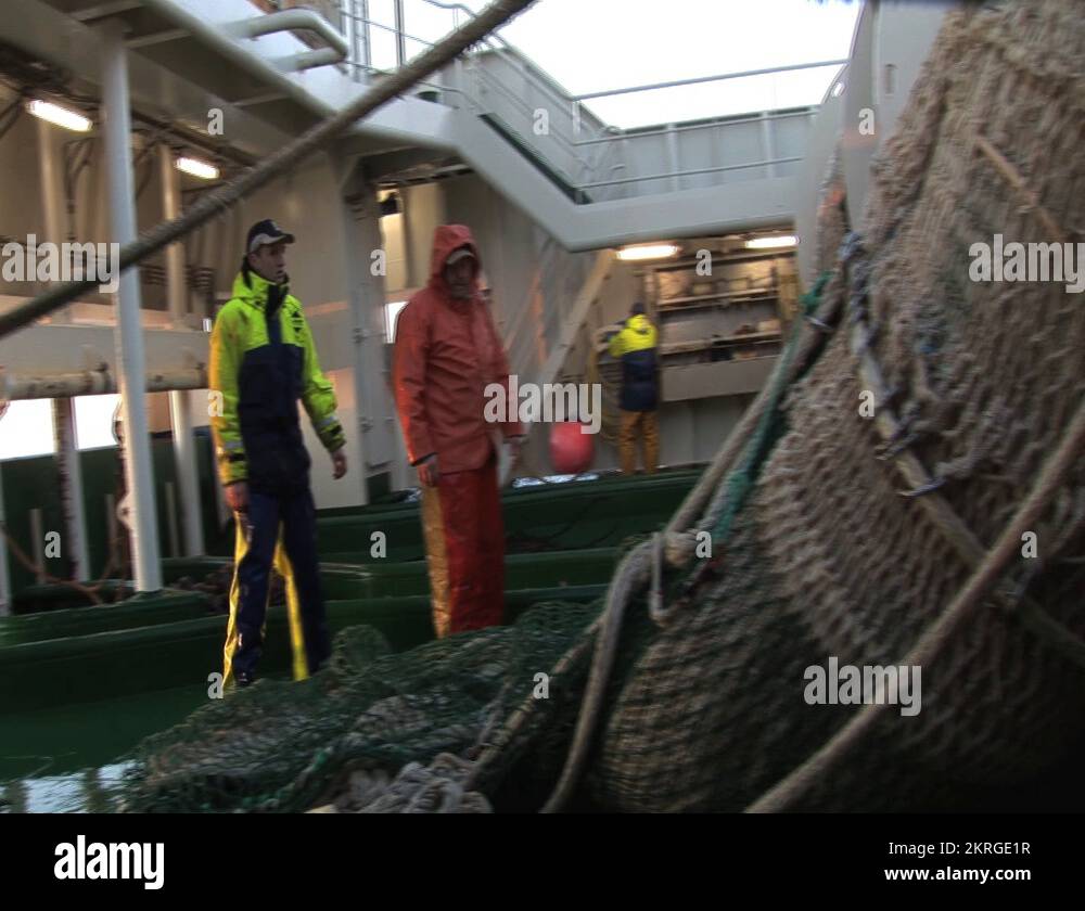 Captured fish Stock Videos & Footage - HD and 4K Video Clips - Alamy