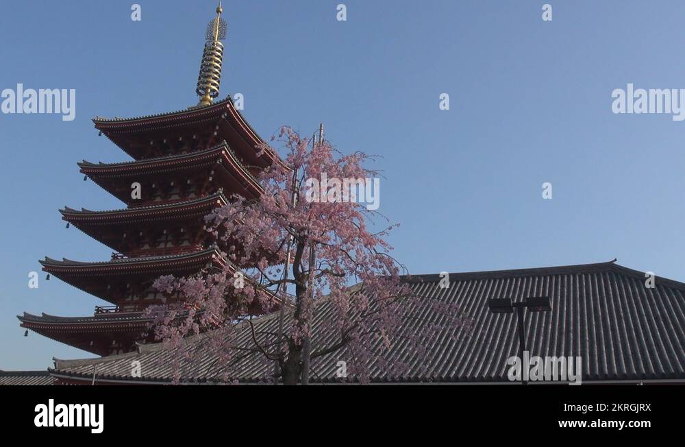 Sensoji temple and tokyo sky tree Stock Videos & Footage - HD and 4K ...