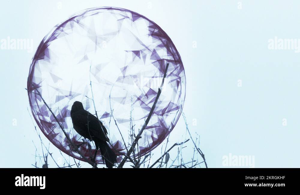 Grunge raven vector silhouette Stock Videos & Footage - HD and 4K Video ...