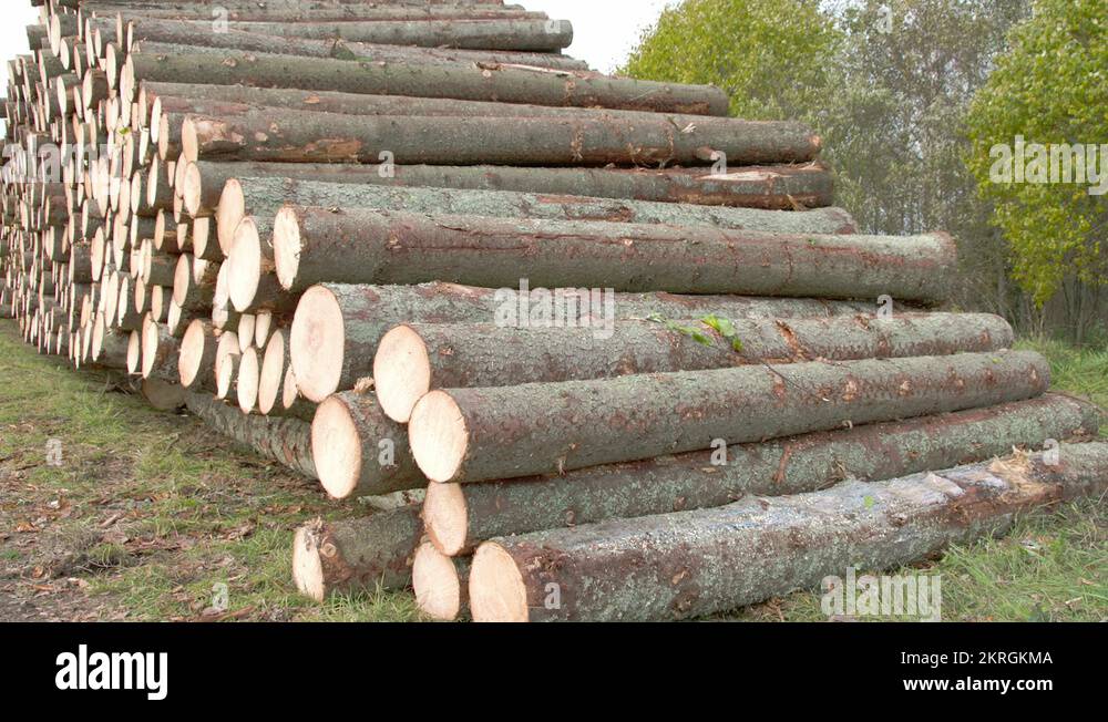 Cold tall format Stock Videos & Footage - HD and 4K Video Clips - Alamy