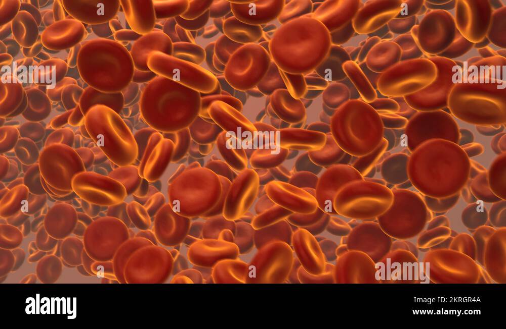 Rbc cell Stock Videos & Footage - HD and 4K Video Clips - Alamy