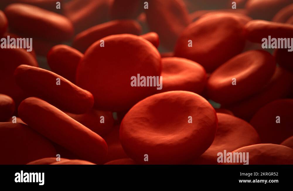 Red Blood Cells. RBC Erythrocytes Microscope Stock Video Footage - Alamy