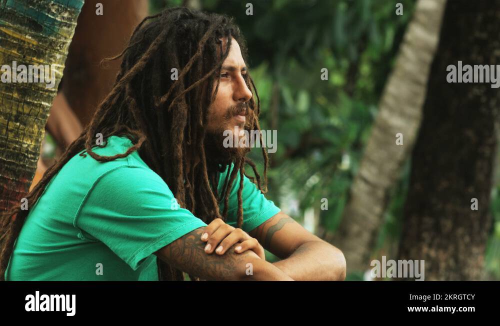 man with dreadlocks and a beard sitting beneath palm trees Stock Video ...