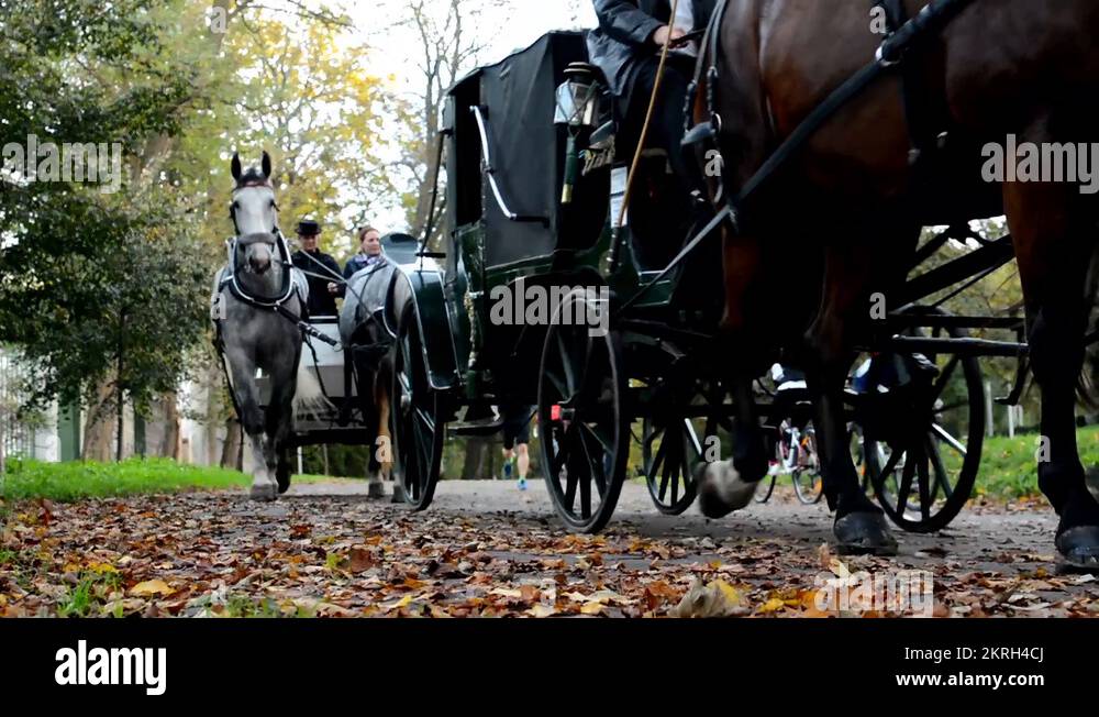 Horse carriage coach driver Stock Videos & Footage - HD and 4K Video ...