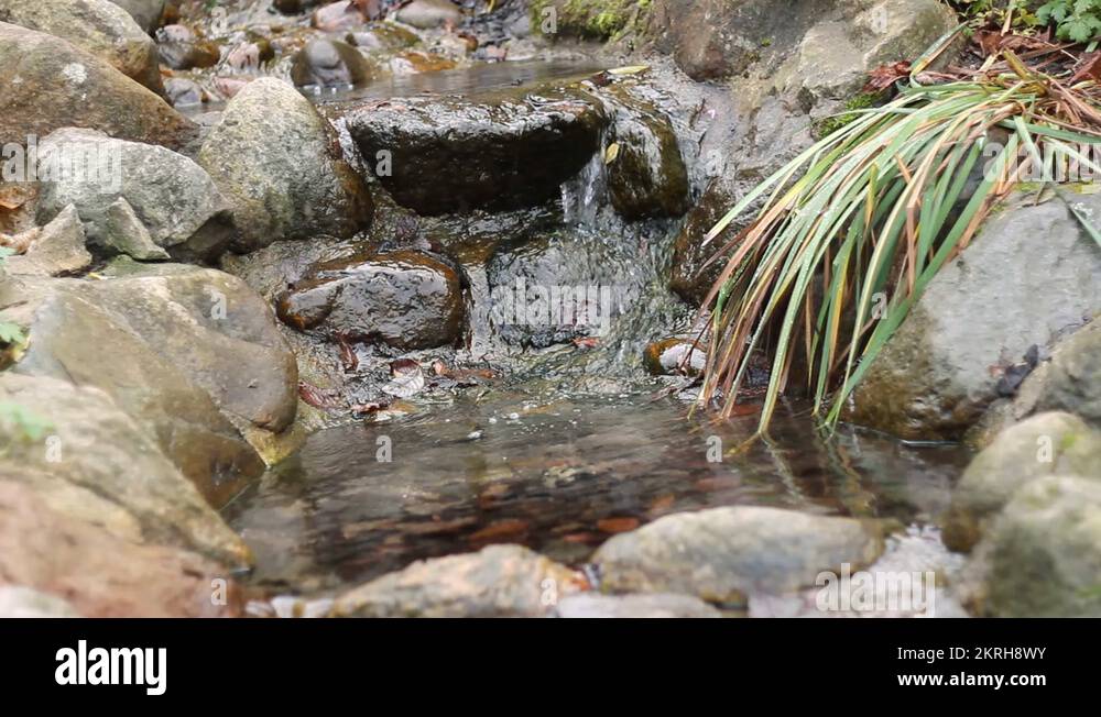 Water rill Stock Videos & Footage - HD and 4K Video Clips - Alamy