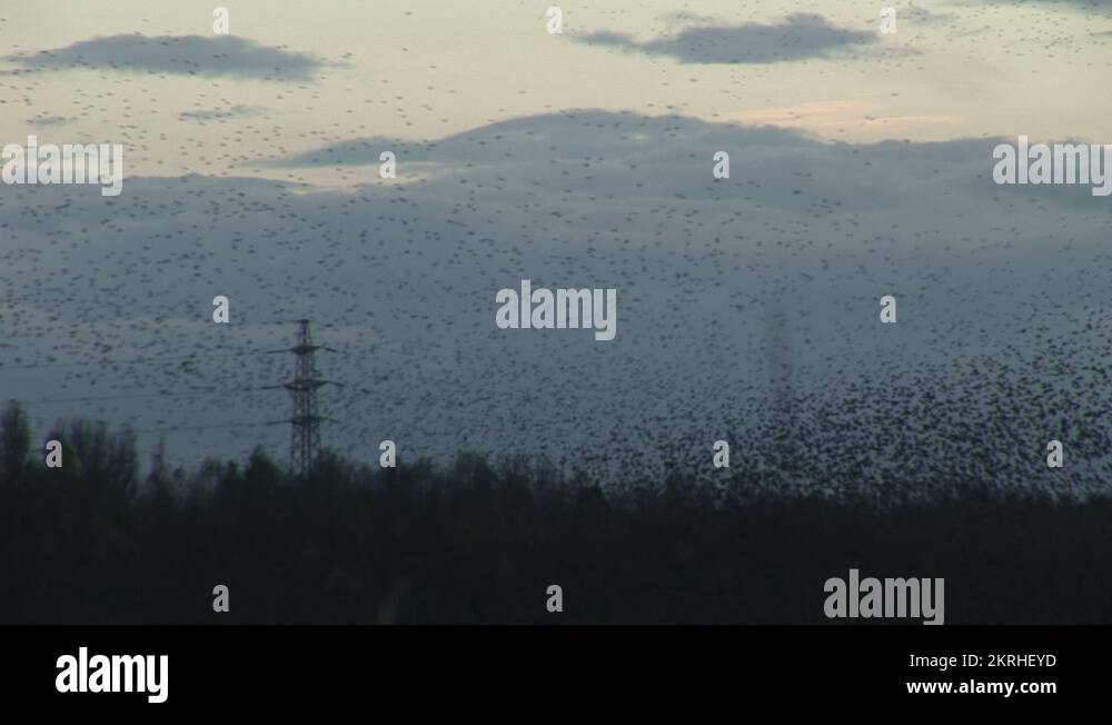 Teamwork natural Stock Videos & Footage - HD and 4K Video Clips - Alamy