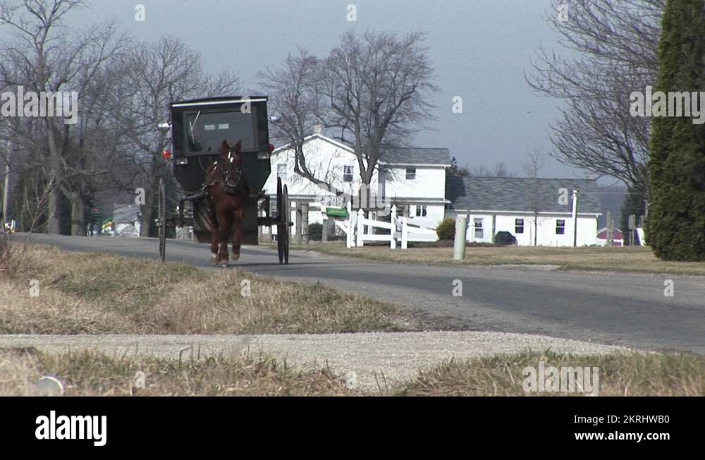 Amish carriage Stock Videos & Footage - HD and 4K Video Clips - Alamy