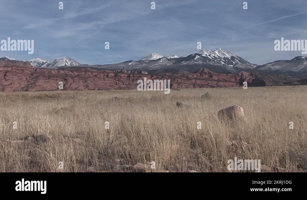 Desert prairies Stock Videos & Footage - HD and 4K Video Clips - Alamy