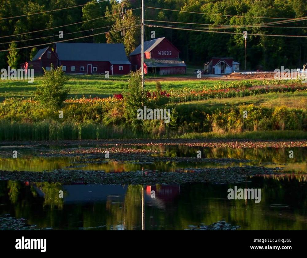 Body farm Stock Videos & Footage - HD and 4K Video Clips - Alamy