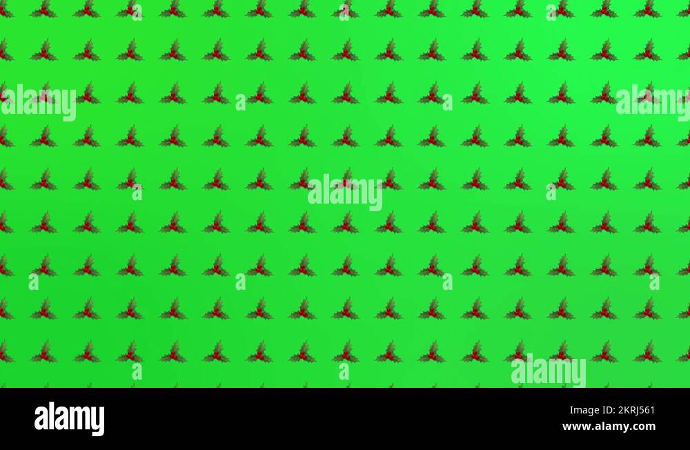 Mistletoe green background Stock Videos & Footage - HD and 4K Video ...