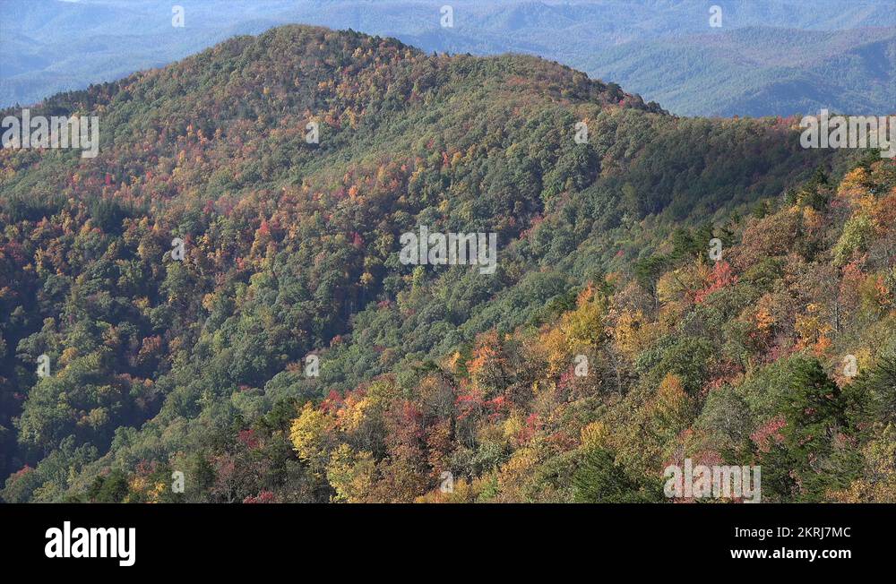 Appalachian appalachians mountain trees Stock Videos & Footage - HD and ...