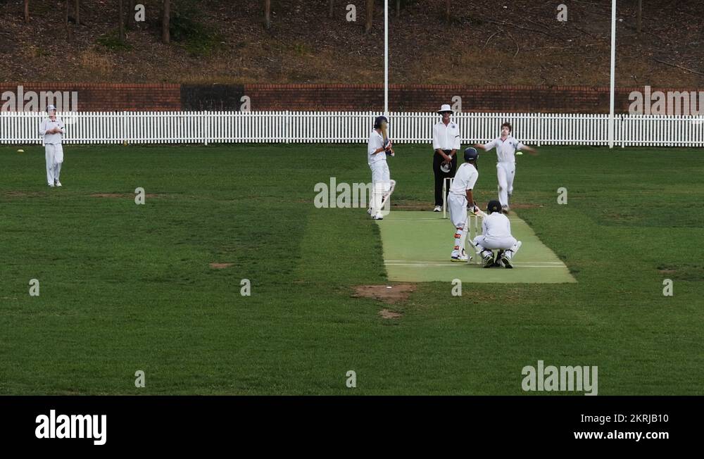 Australian cricket team fielding Stock Videos & Footage - HD and 4K ...