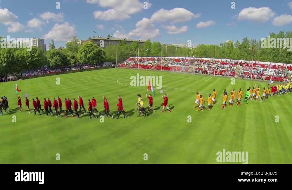 Players walk by soccer field with country flags Stock Video Footage - Alamy