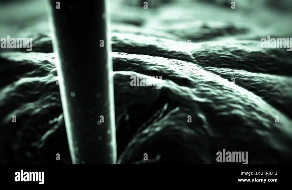 Scanning electron microscope hair Stock Videos & Footage - HD and 4K ...