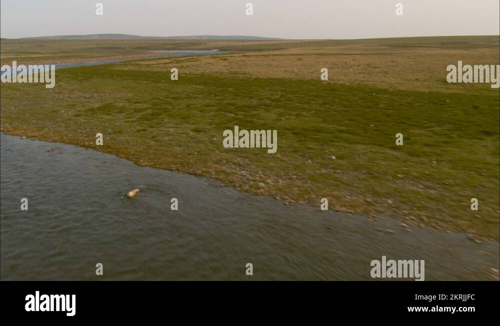 Caribou ranch Stock Videos & Footage - HD and 4K Video Clips - Alamy