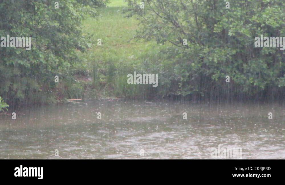 On rain pond Stock Videos & Footage - HD and 4K Video Clips - Alamy