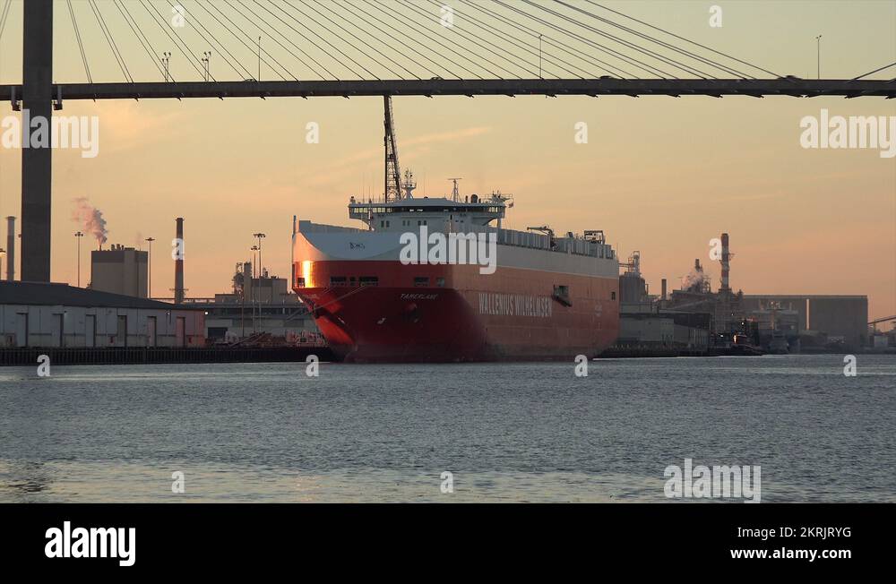 Tamerlane Stock Videos & Footage - HD and 4K Video Clips - Alamy