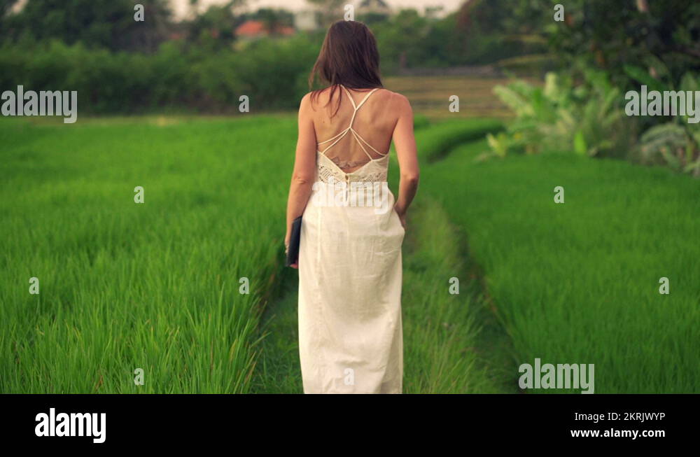 Attractive Woman In White Dress Walking Through Rice Field Hd Stock Video Footage Alamy