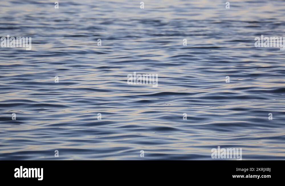 Balance surface Stock Videos & Footage - HD and 4K Video Clips - Alamy