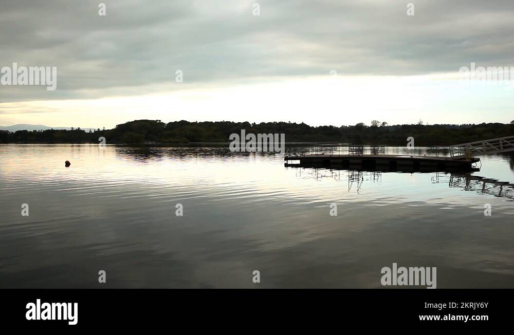 Beautiful water ripples Stock Videos & Footage - HD and 4K Video Clips ...