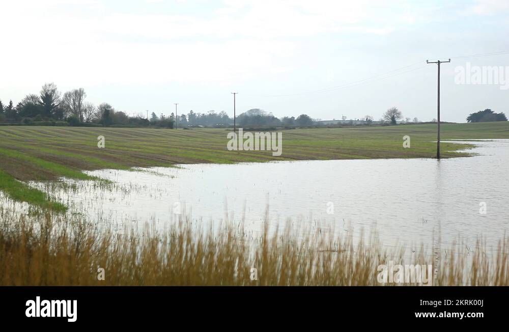 Field crops in the rain Stock Videos & Footage - HD and 4K Video Clips ...