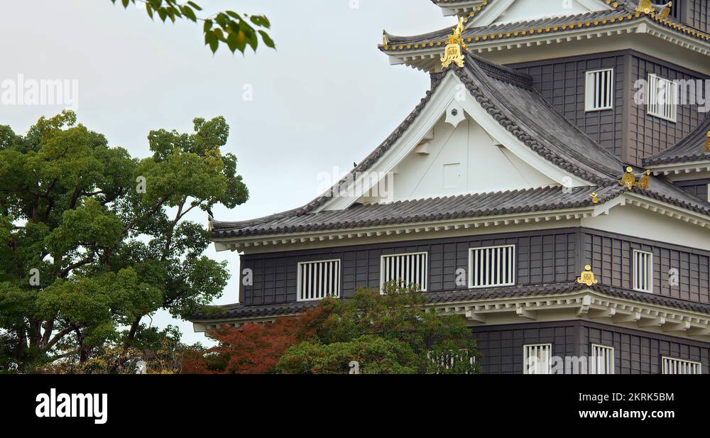 Roof of the castle Stock Videos & Footage - HD and 4K Video Clips - Alamy