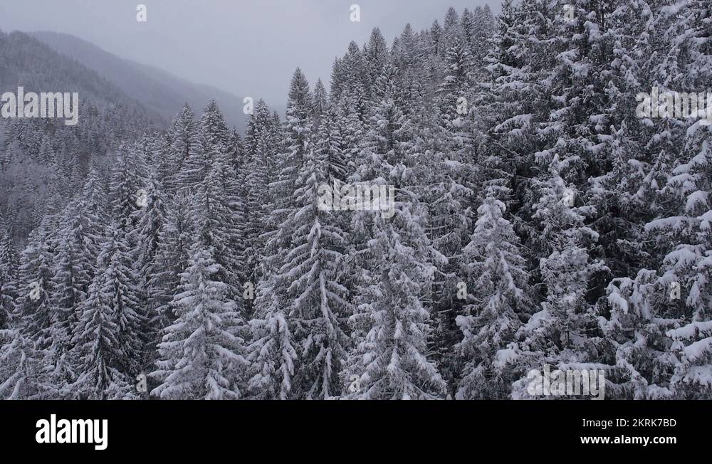 Snow cloak Stock Videos & Footage - HD and 4K Video Clips - Alamy