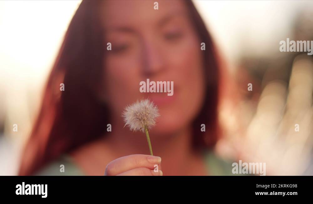 Red profile Stock Videos & Footage - HD and 4K Video Clips - Alamy