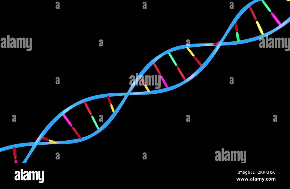 Helix turn helix Stock Videos & Footage - HD and 4K Video Clips - Alamy Helix turn helix Stock Videos & Footage - HD and 4K Video Clips - Alamy
