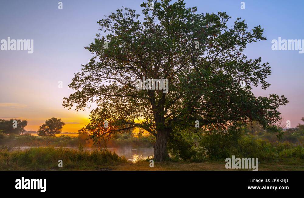 Emptyfield Stock Videos & Footage - HD and 4K Video Clips - Alamy