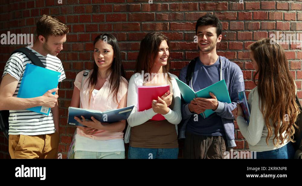 Happy classmates standing studying together Stock Videos & Footage - HD ...