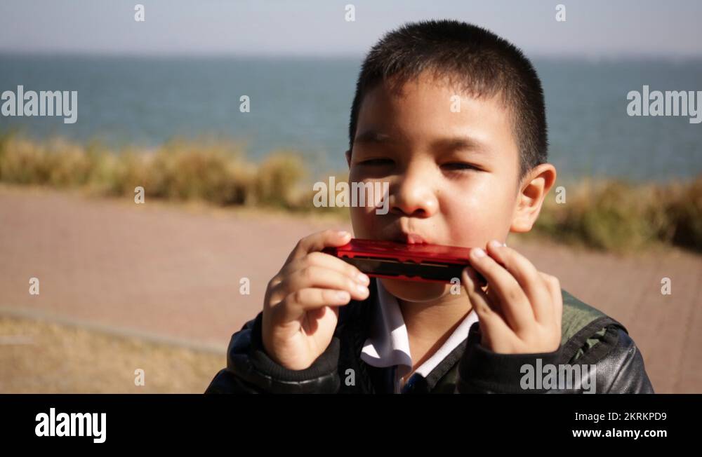 Mouth organ musical instrument Stock Videos & Footage - HD and 4K Video ...