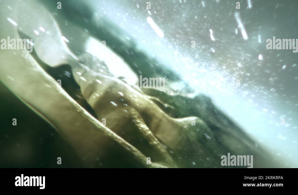 Flying through the structures of a human eye. 3D animation Stock Video ...