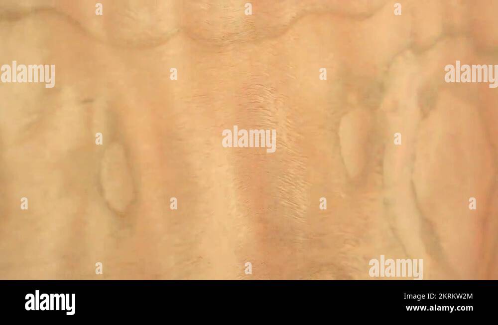 Cherry wood texture Stock Videos & Footage - HD and 4K Video Clips - Alamy