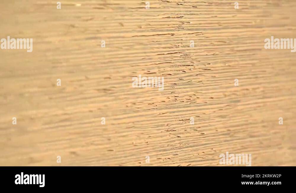 Wenge Stock Videos & Footage - HD and 4K Video Clips - Alamy